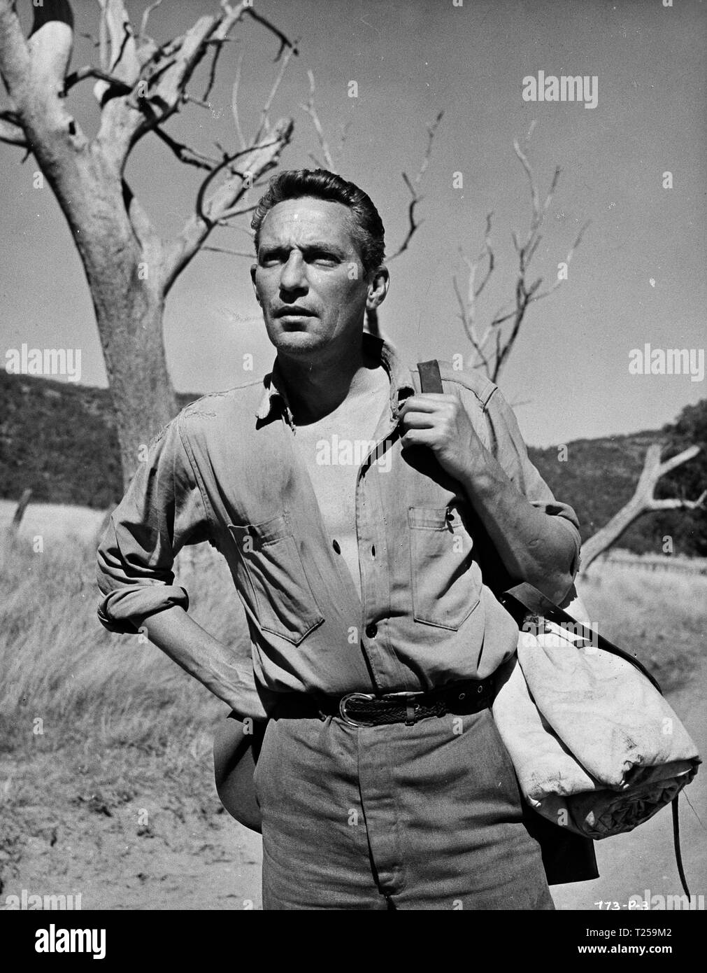The Shiralee (1957) Peter Finch, Date: 1957 Stock Photo - Alamy