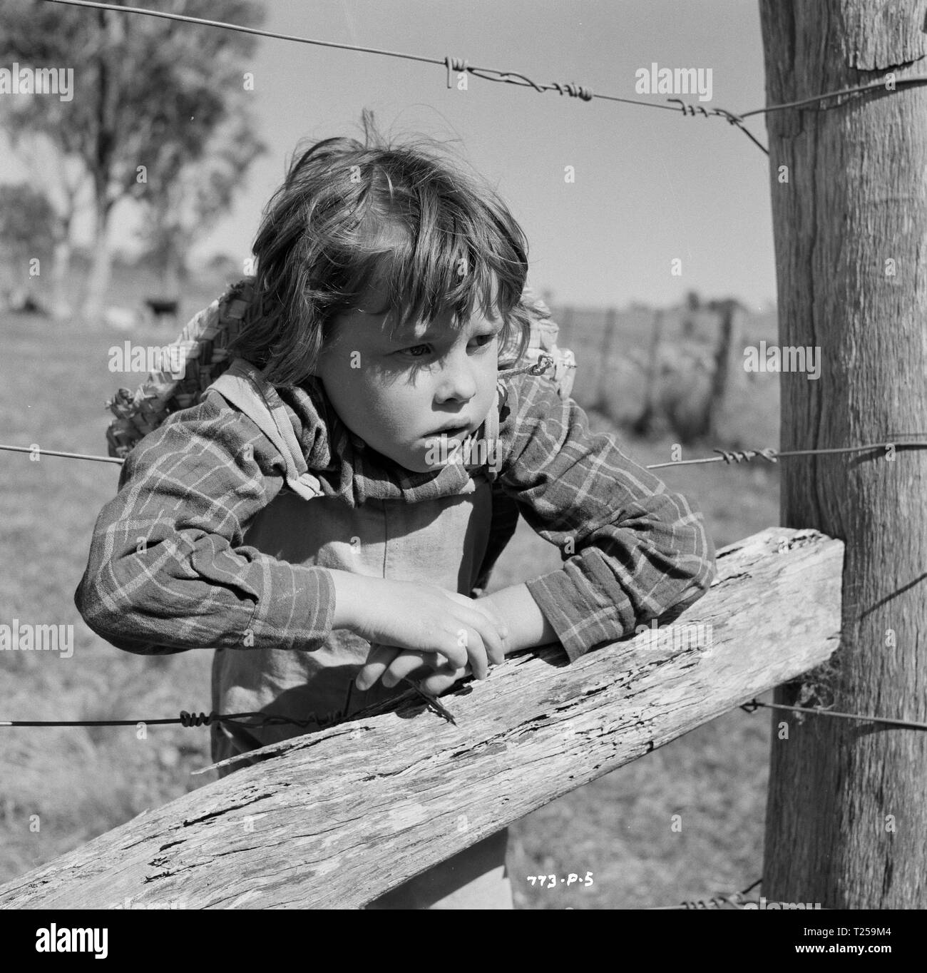 The Shiralee (1957) Dana Wilson, Date: 1957 Stock Photo - Alamy