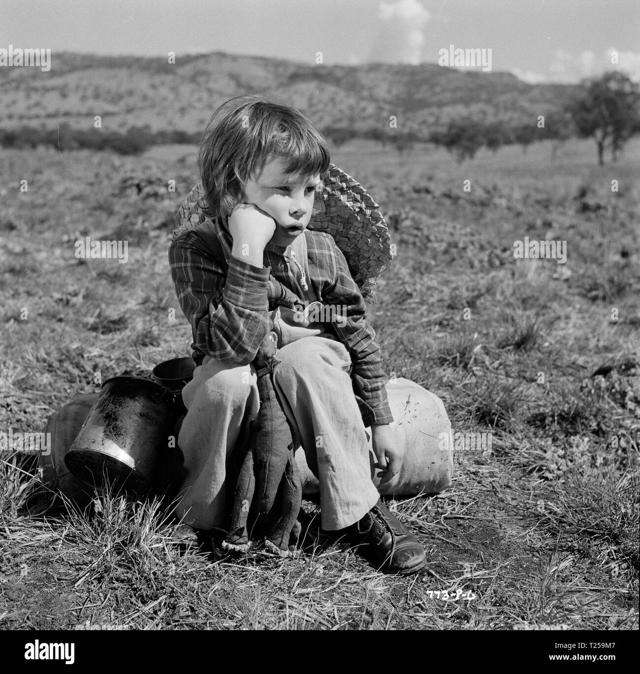 The Shiralee (1957) Dana Wilson, Date: 1957 Stock Photo - Alamy