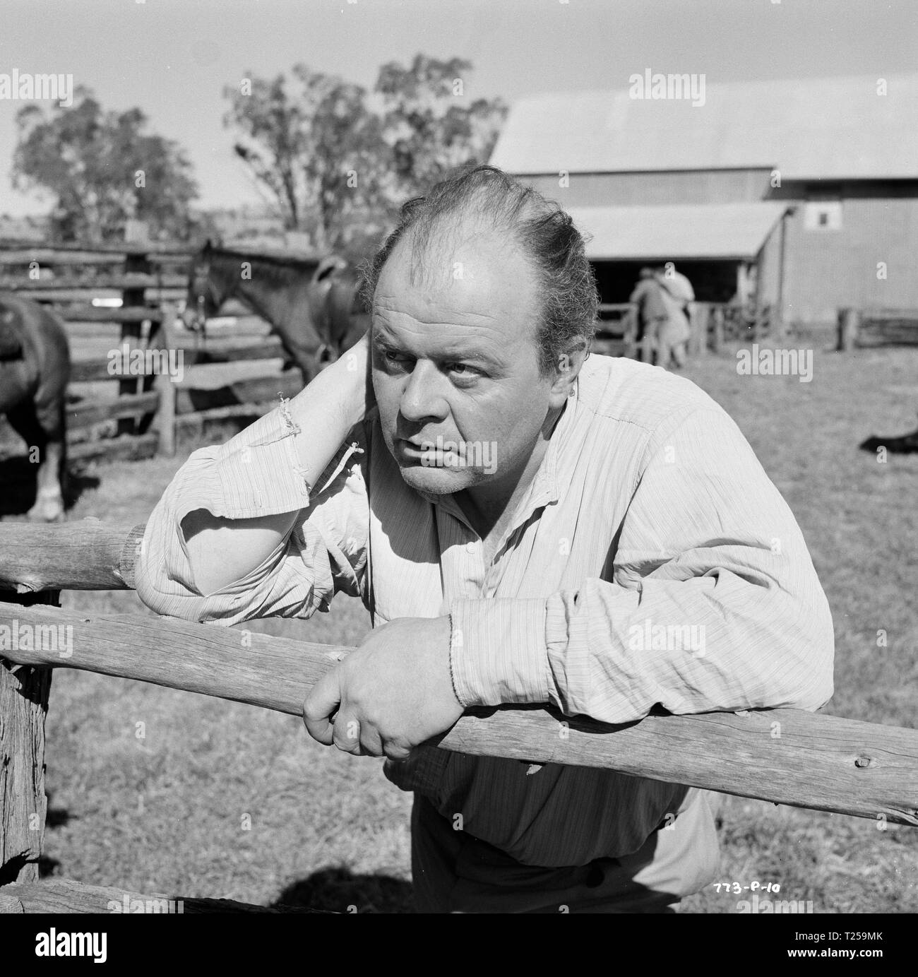 Shiralee hi-res stock photography and images - Alamy