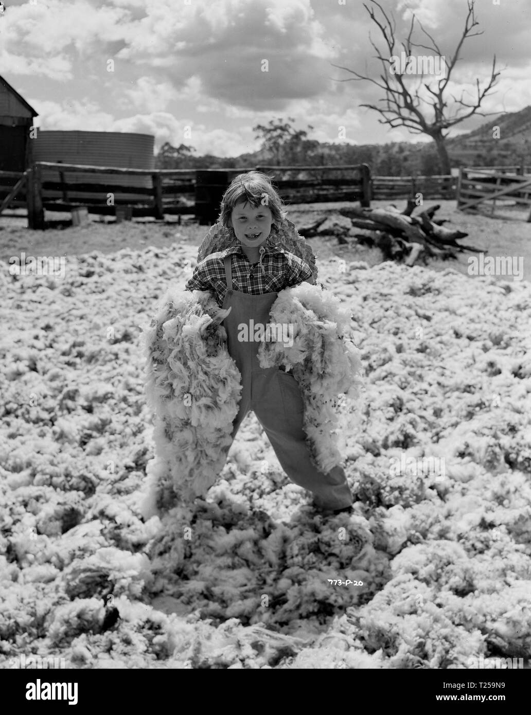 The Shiralee (1957) Dana Wilson, Date: 1957 Stock Photo - Alamy