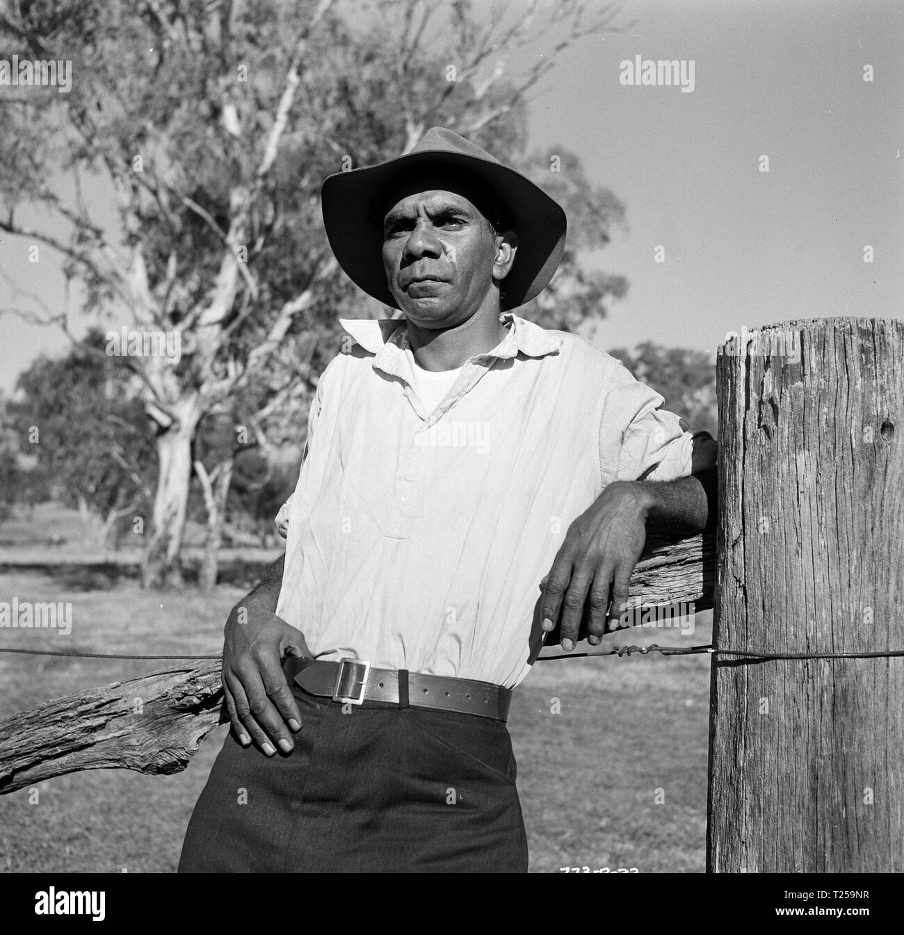 The Shiralee (1957) Date: 1957 Stock Photo - Alamy