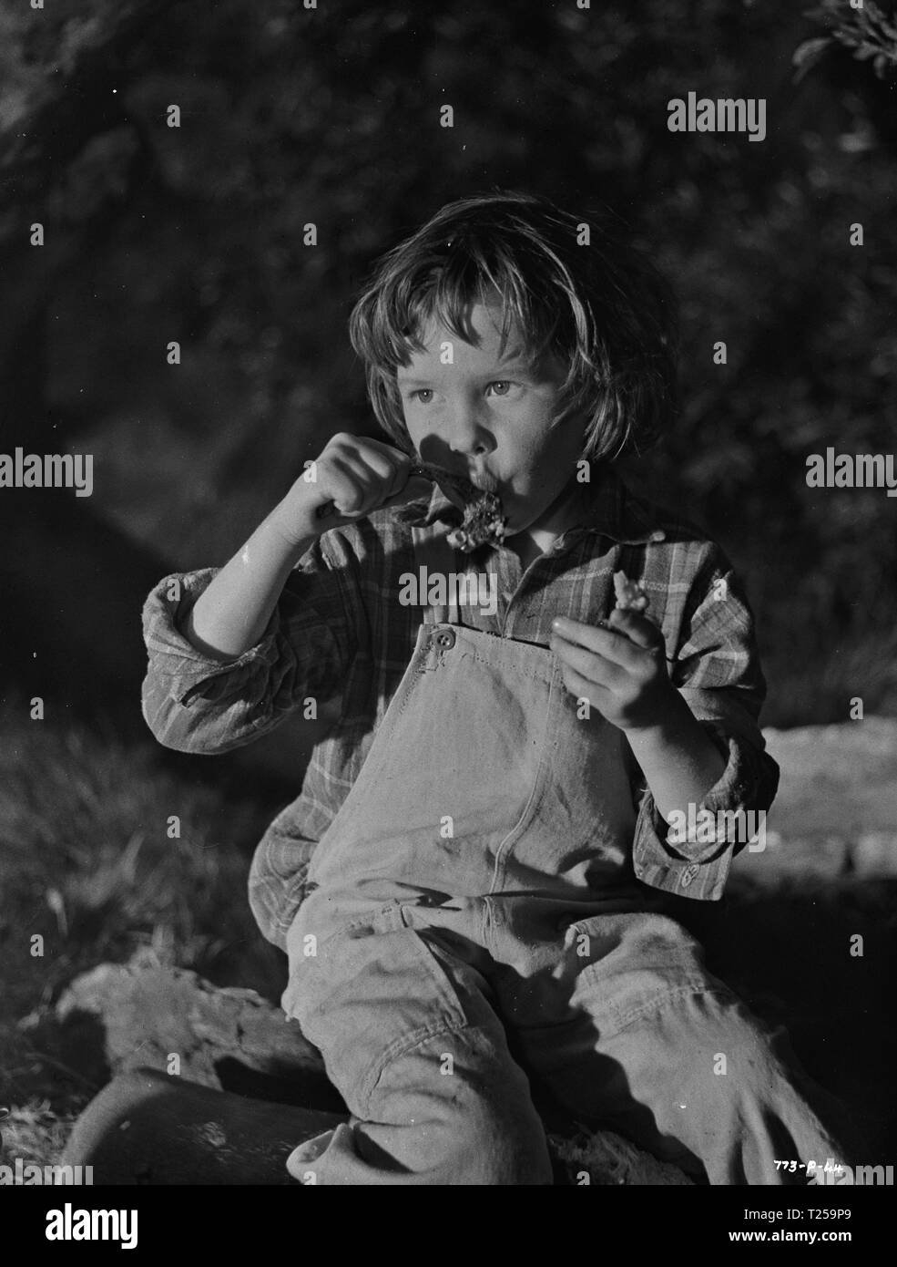 The Shiralee (1957) Dana Wilson, Date: 1957 Stock Photo - Alamy