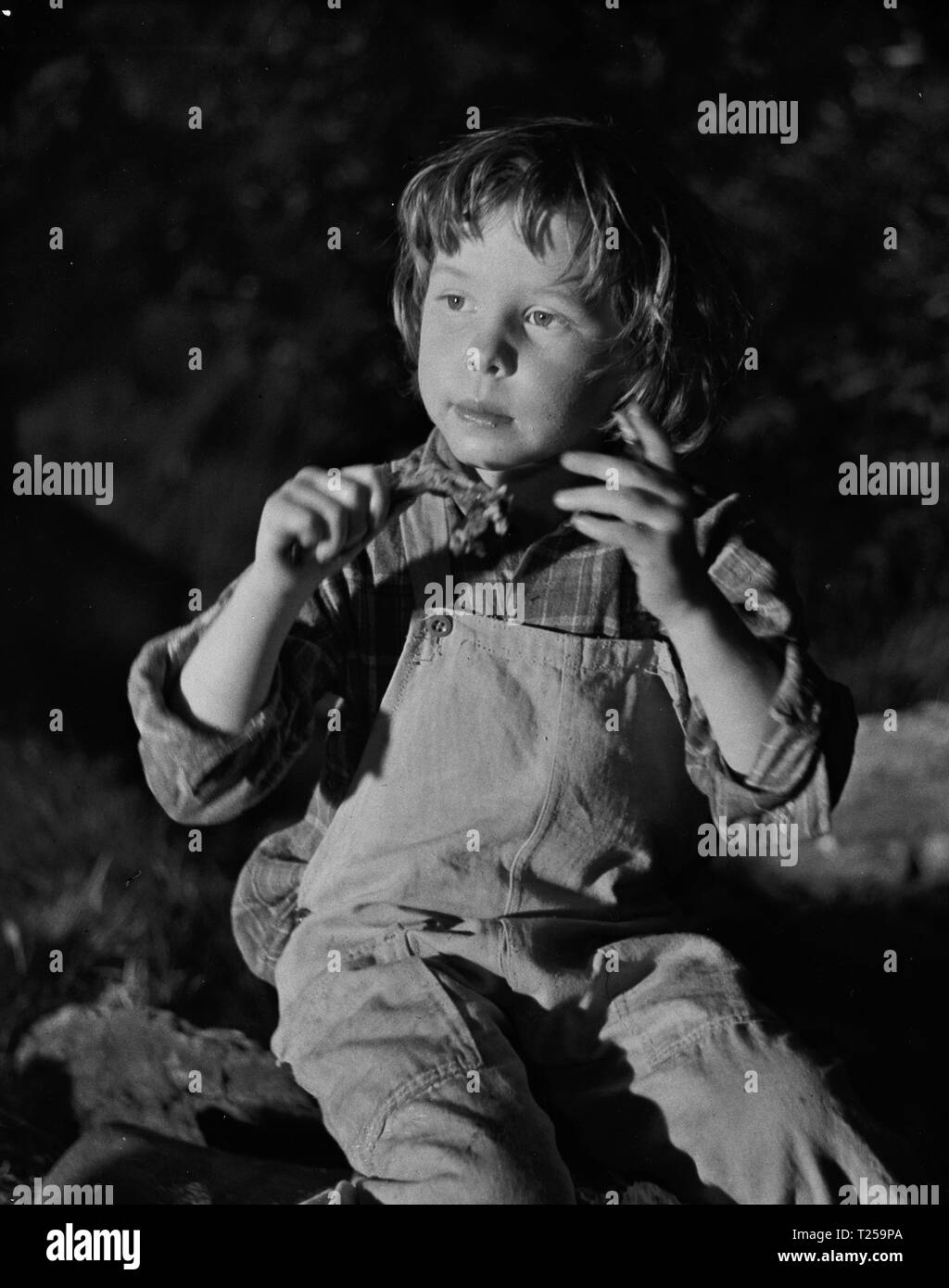 The Shiralee (1957) Dana Wilson, Date: 1957 Stock Photo - Alamy