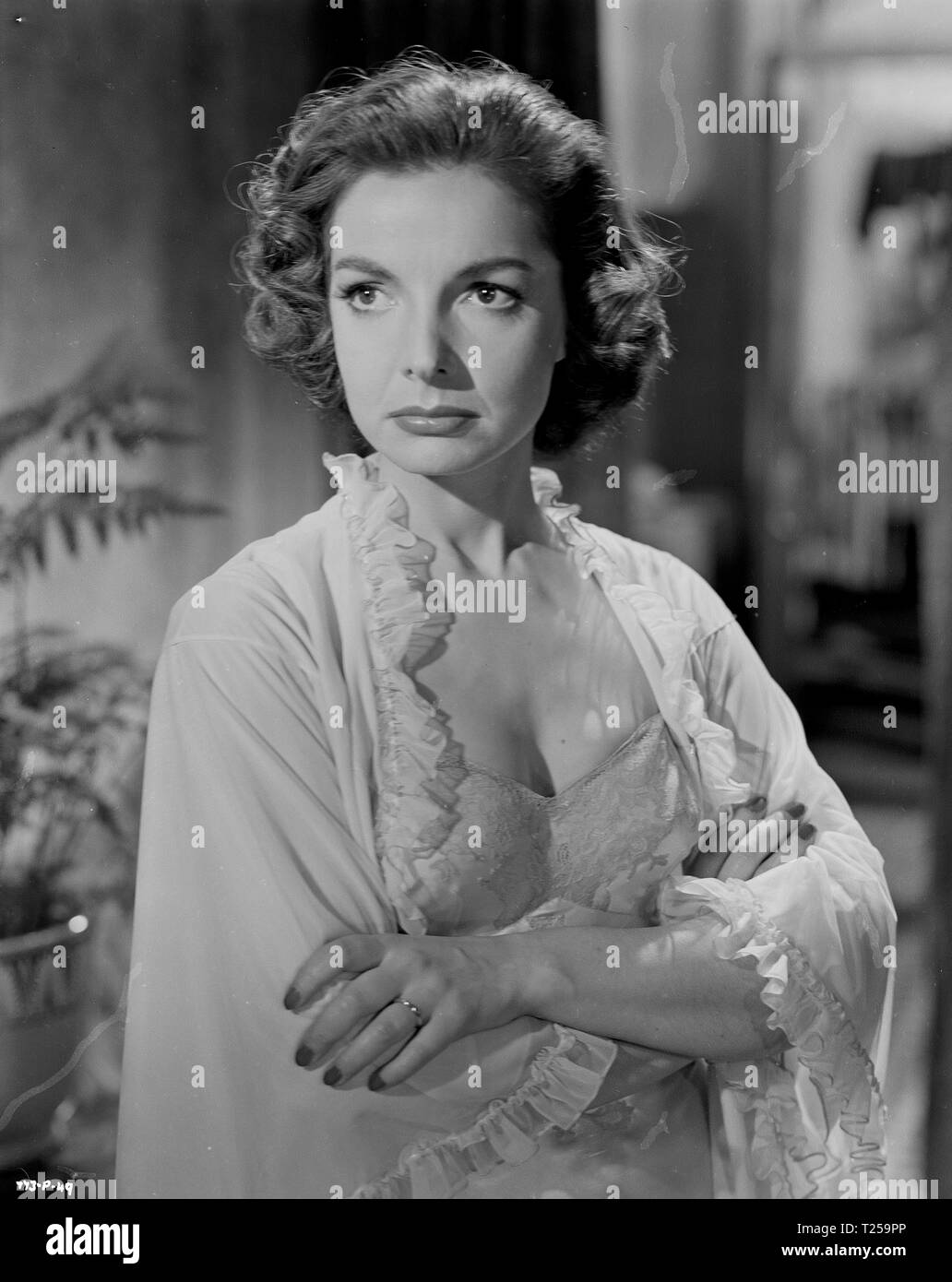 Shiralee hi-res stock photography and images - Alamy