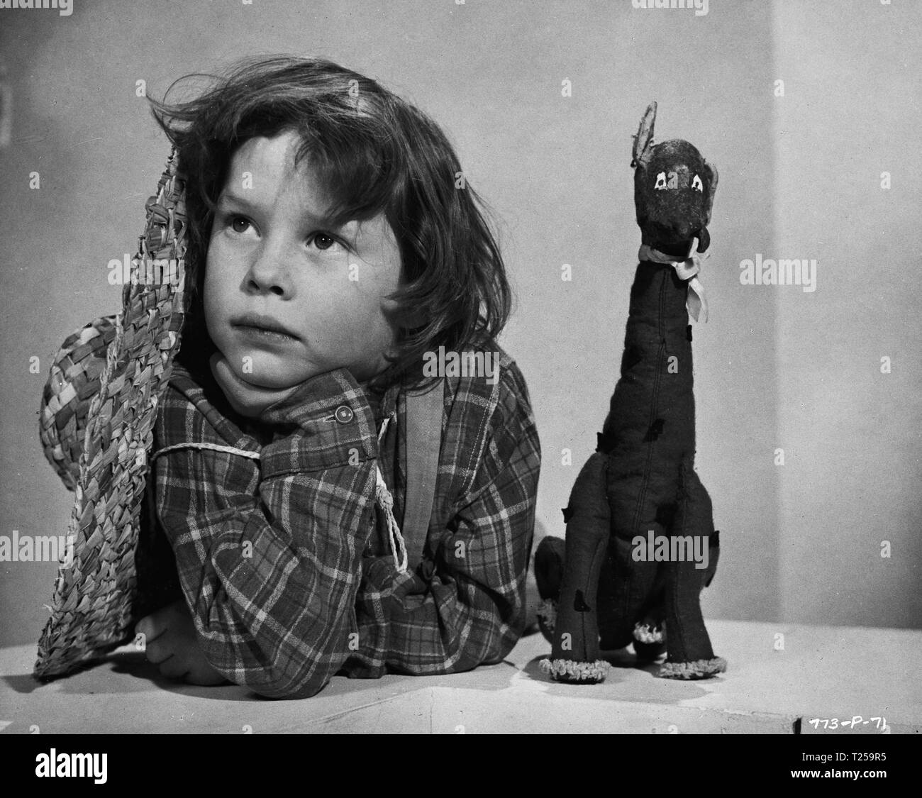 The Shiralee (1957) Dana Wilson, Date: 1957 Stock Photo - Alamy