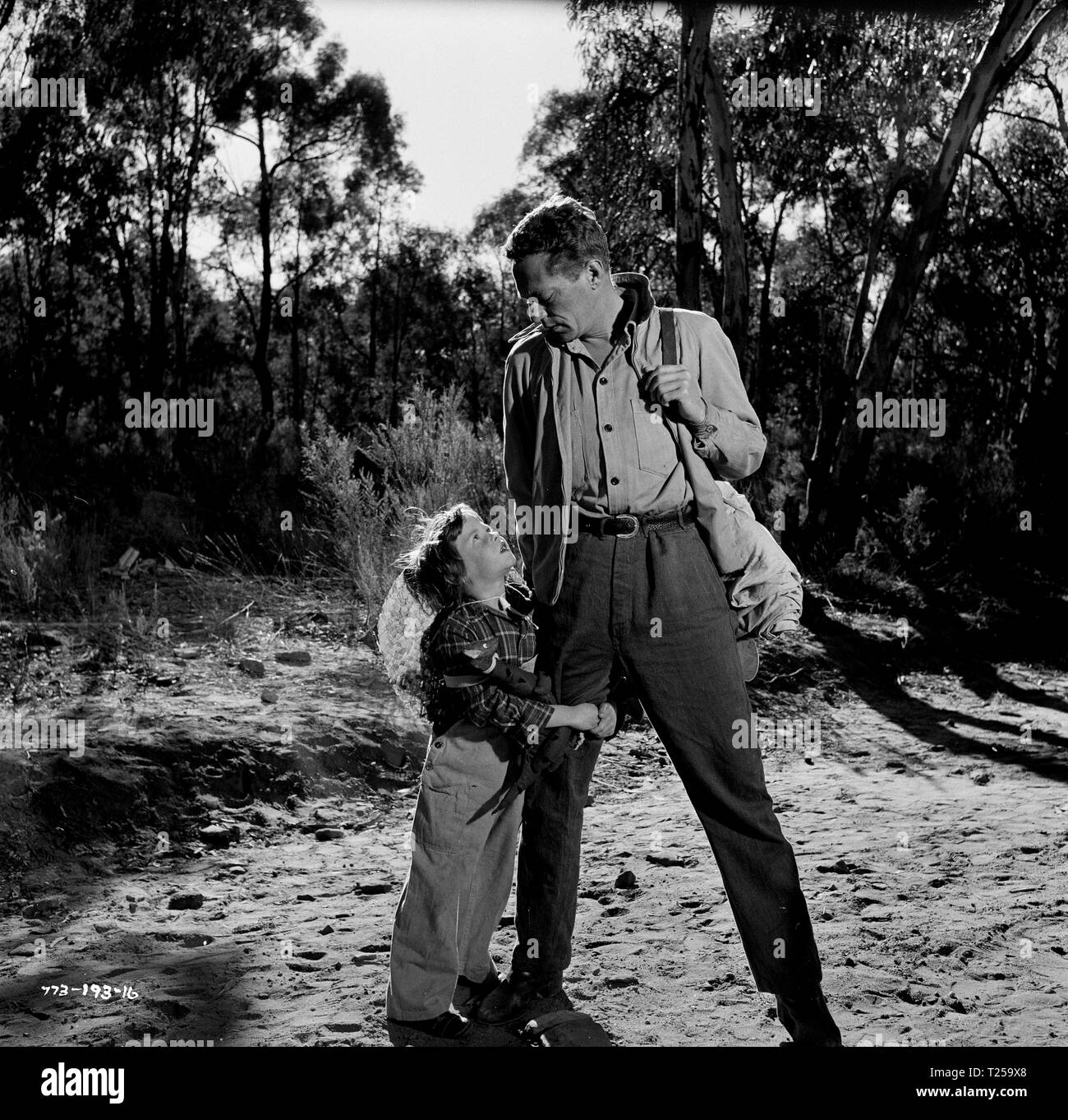 The shiralee peter finch hi-res stock photography and images - Alamy