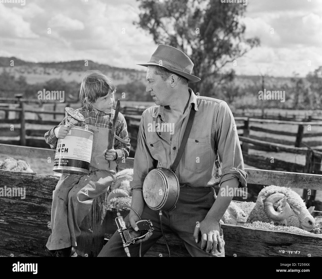 The Shiralee (1957) Peter Finch, Dana Wilson, Date: 1957 Stock Photo ...