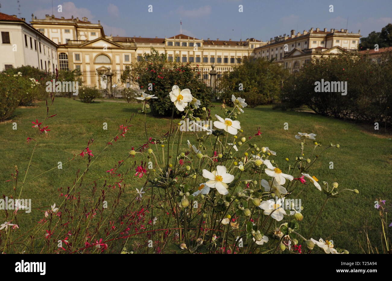 Parco of monza hi-res stock photography and images - Alamy