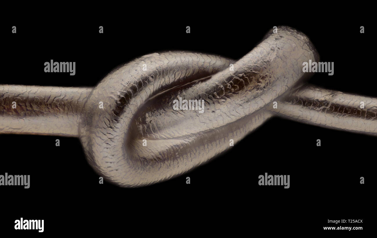 Extreme magnification - Human hair at microscope, 50x magnification ...