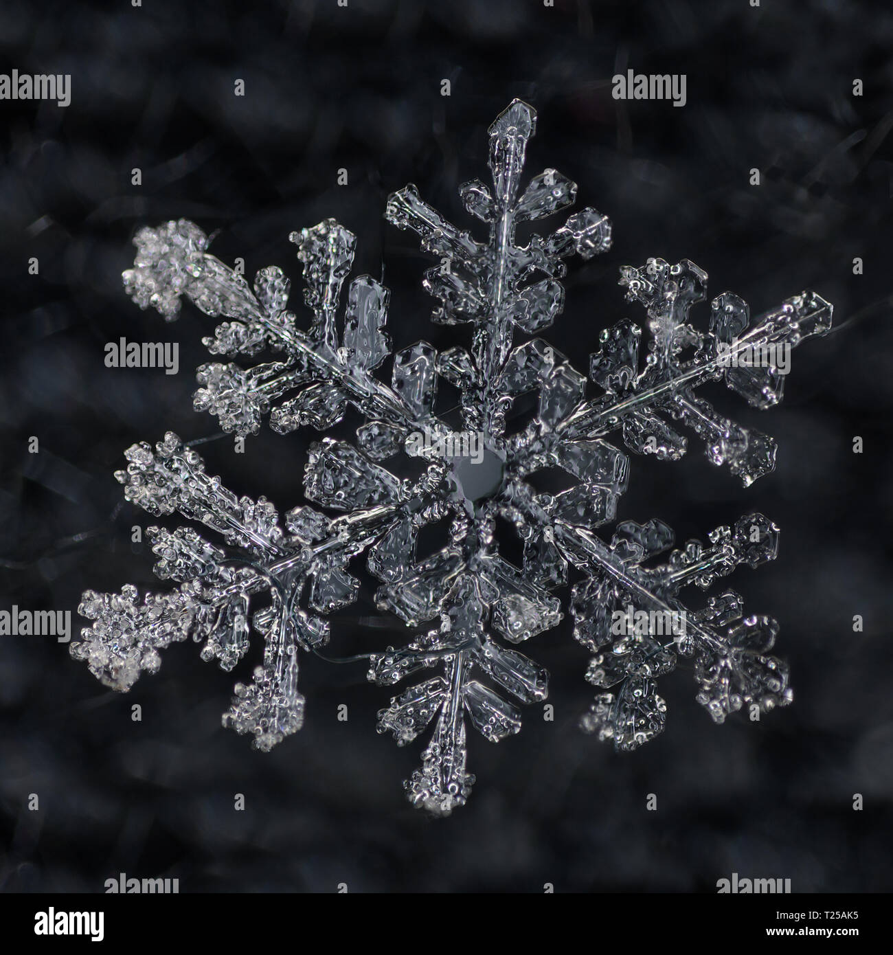 Real Snowflake Images