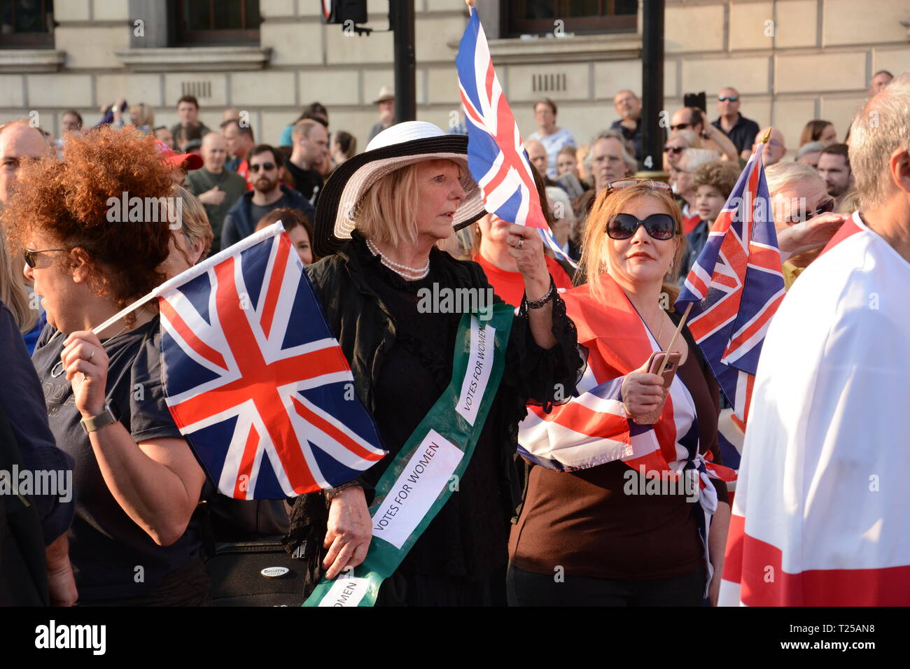 Leave Means Leave Rally On The Day The UK Was Supposed To Leave The EU 29th March 2019 Stock 