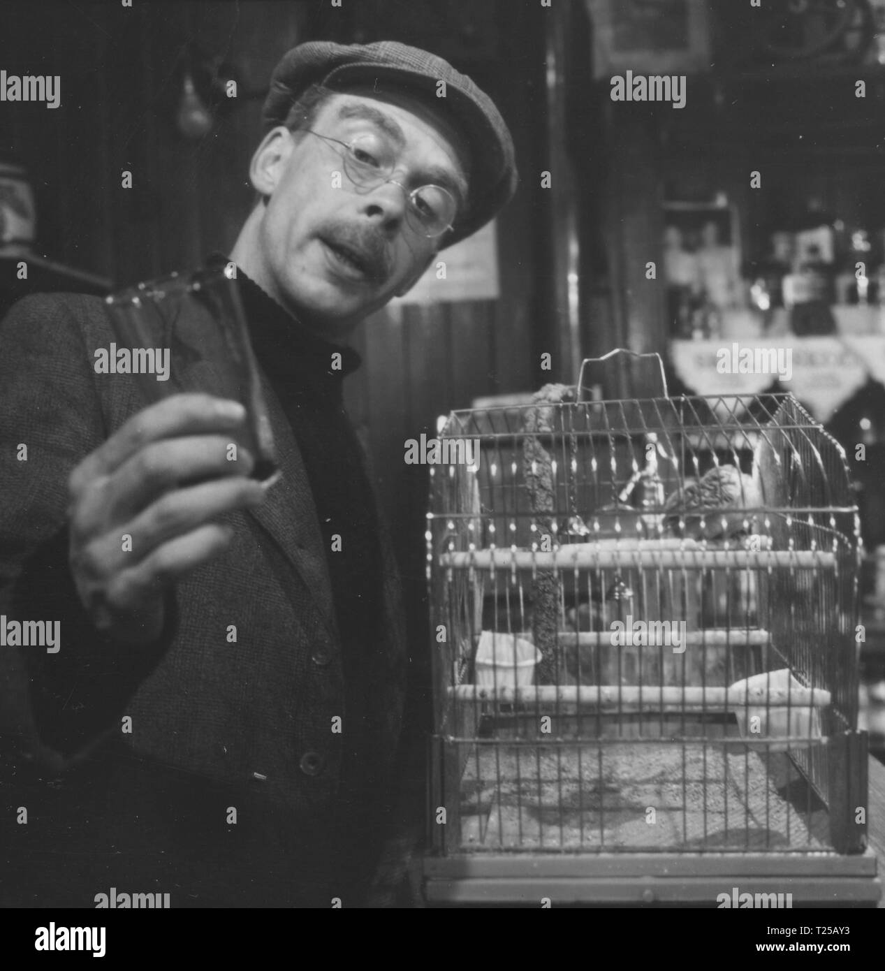 Sparrows Can't Sing (1962) Brian Murphy, Date: 1962 Stock Photo - Alamy