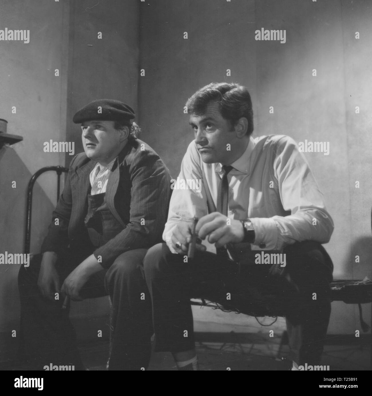 James roy hi-res stock photography and images - Alamy