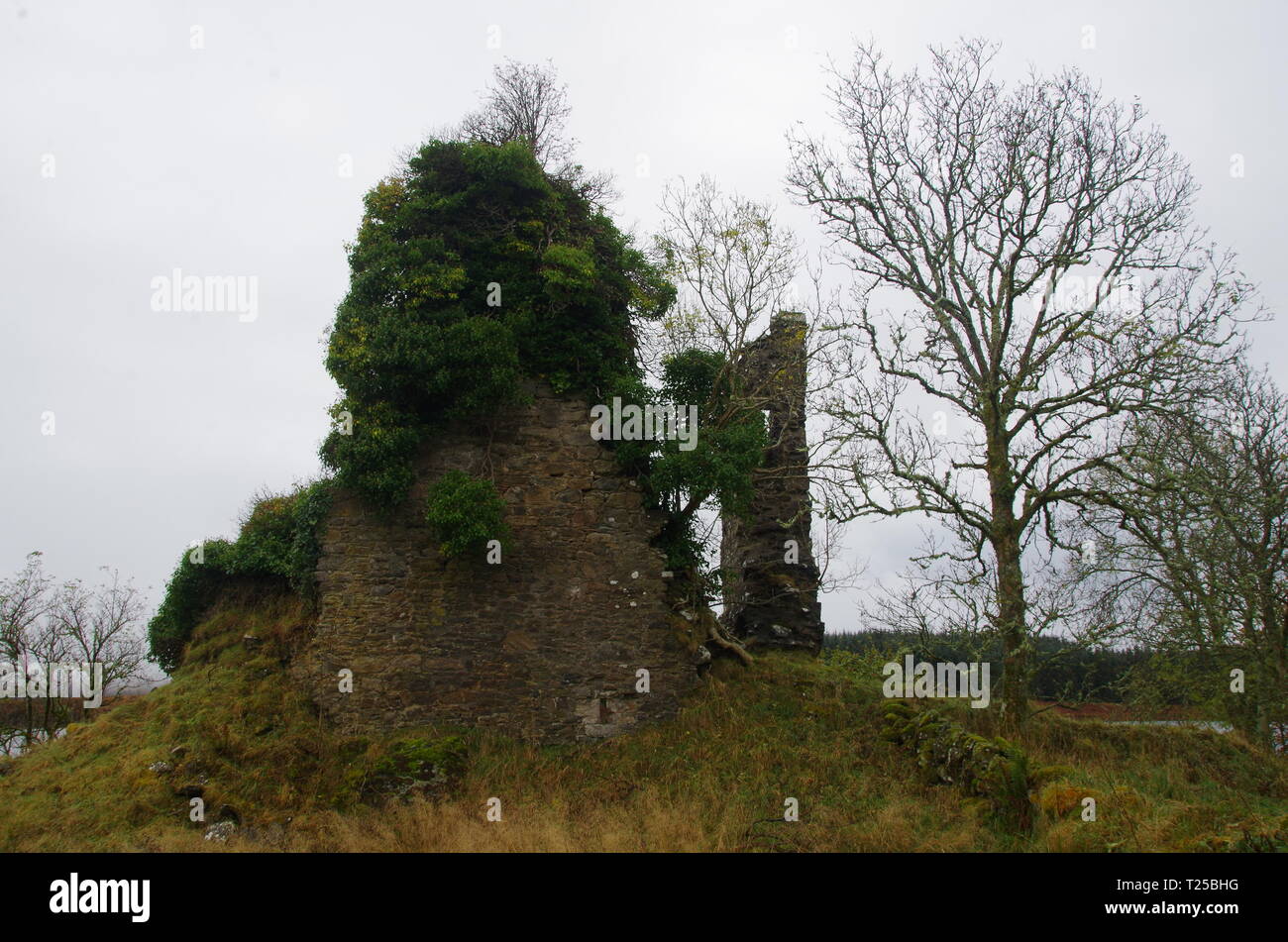 Asgog Castle. Loch Asgog . The Loch Lomond and Cowal Way. Cowal ...