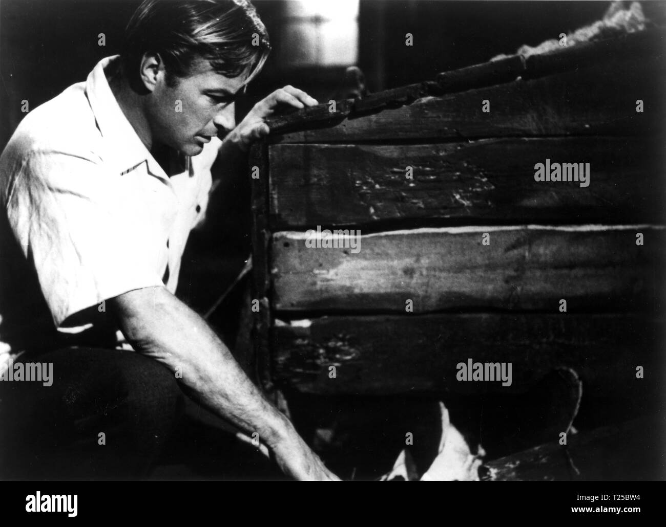 Lex barker hi-res stock photography and images - Alamy