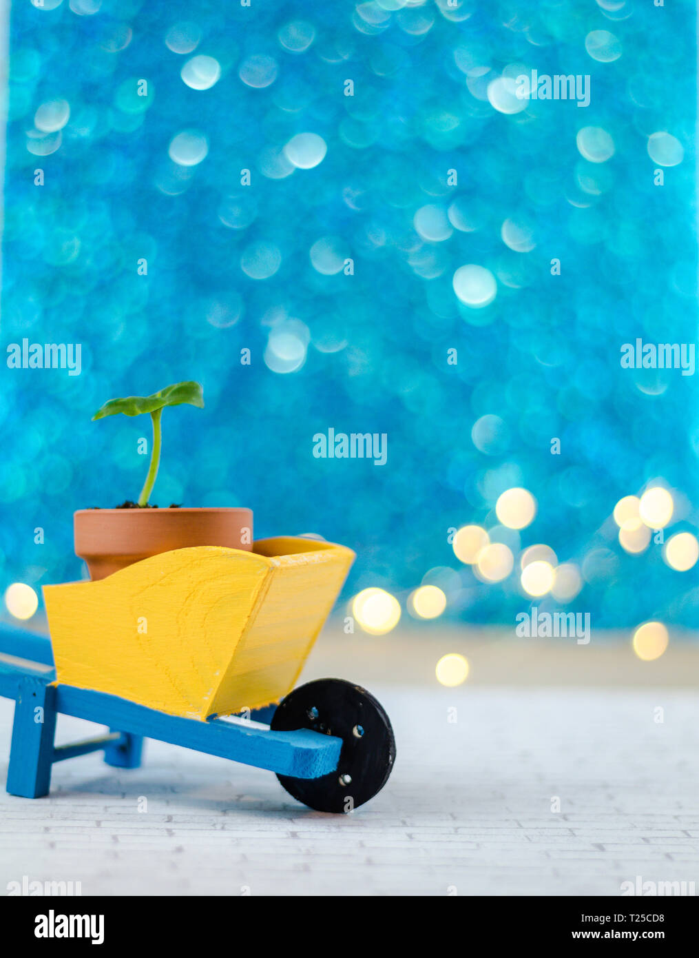 Spring garden still life concept on wooden board with yellow and blue ...