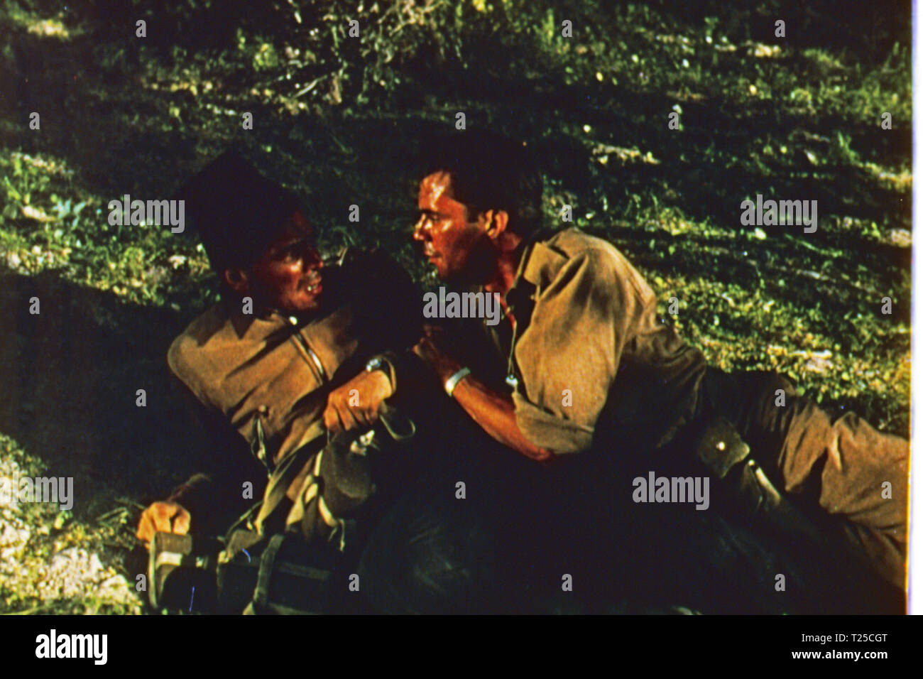 Alec mango hi-res stock photography and images - Alamy