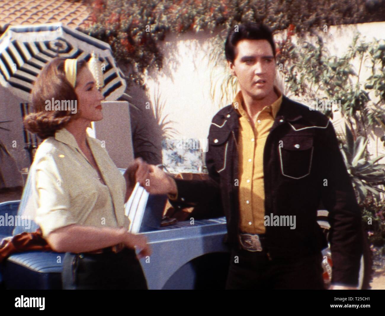 Tickle Me (1965) Julie Adams, Elvis Presley, Date: 1965 Stock Photo - Alamy