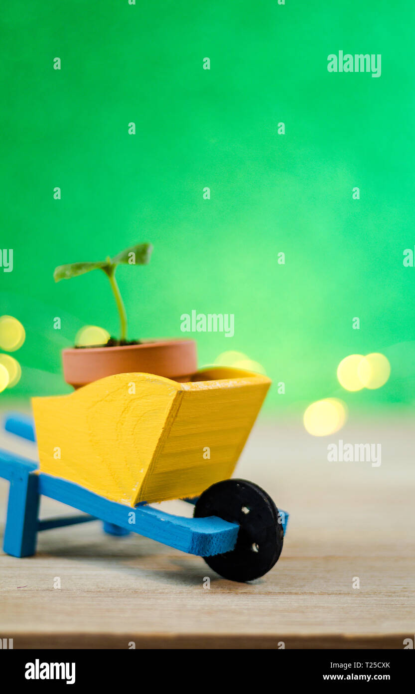 Spring garden still life concept on wooden board with yellow and blue ...
