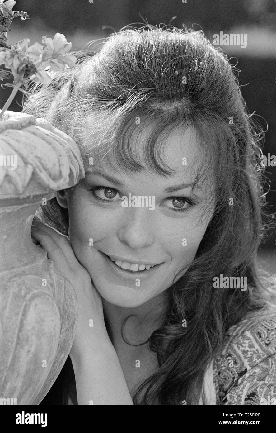 Lea brodie hi-res stock photography and images - Alamy