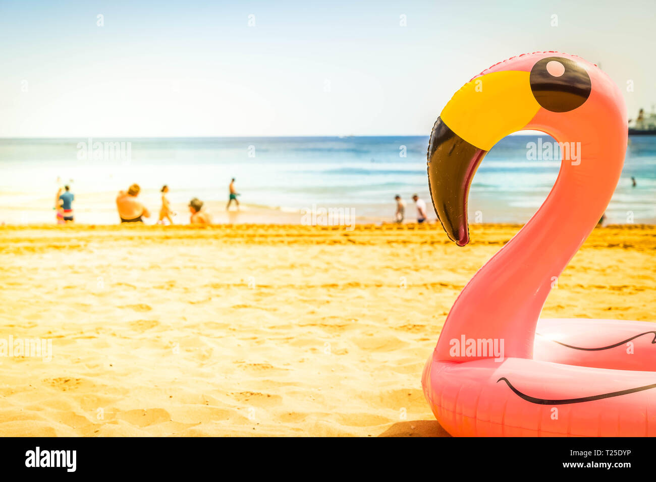 Pink inflatable flamingo in sand on beach, retro toned Stock Photo - Alamy