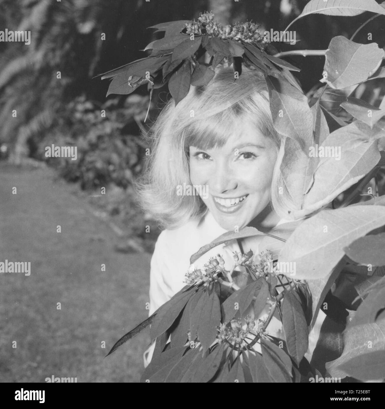 Wonderful Life (1964) Susan Hampshire, Date: 1964 Stock Photo - Alamy