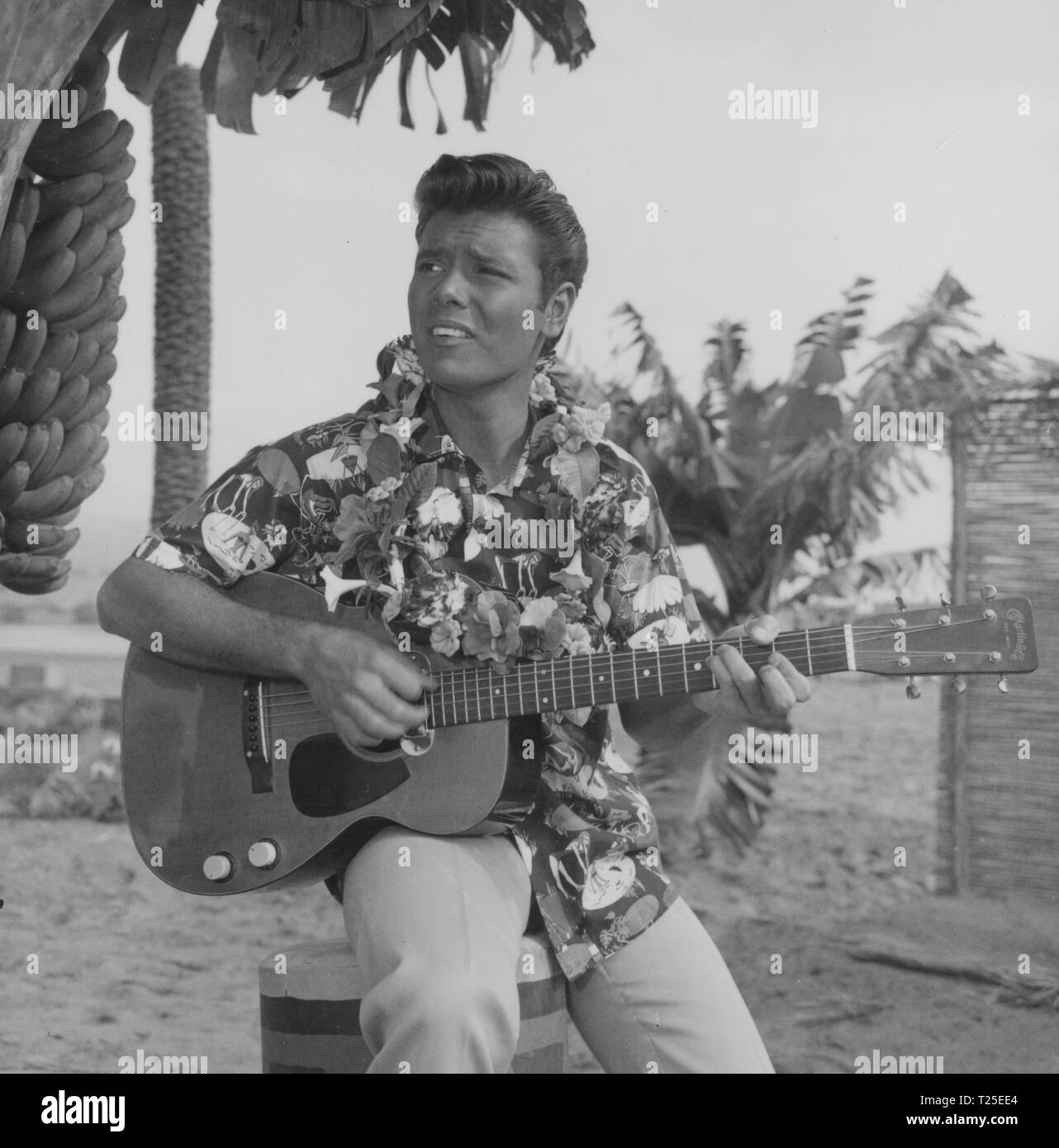 Wonderful Life (1964) Cliff Richard, Date: 1964 Stock Photo - Alamy