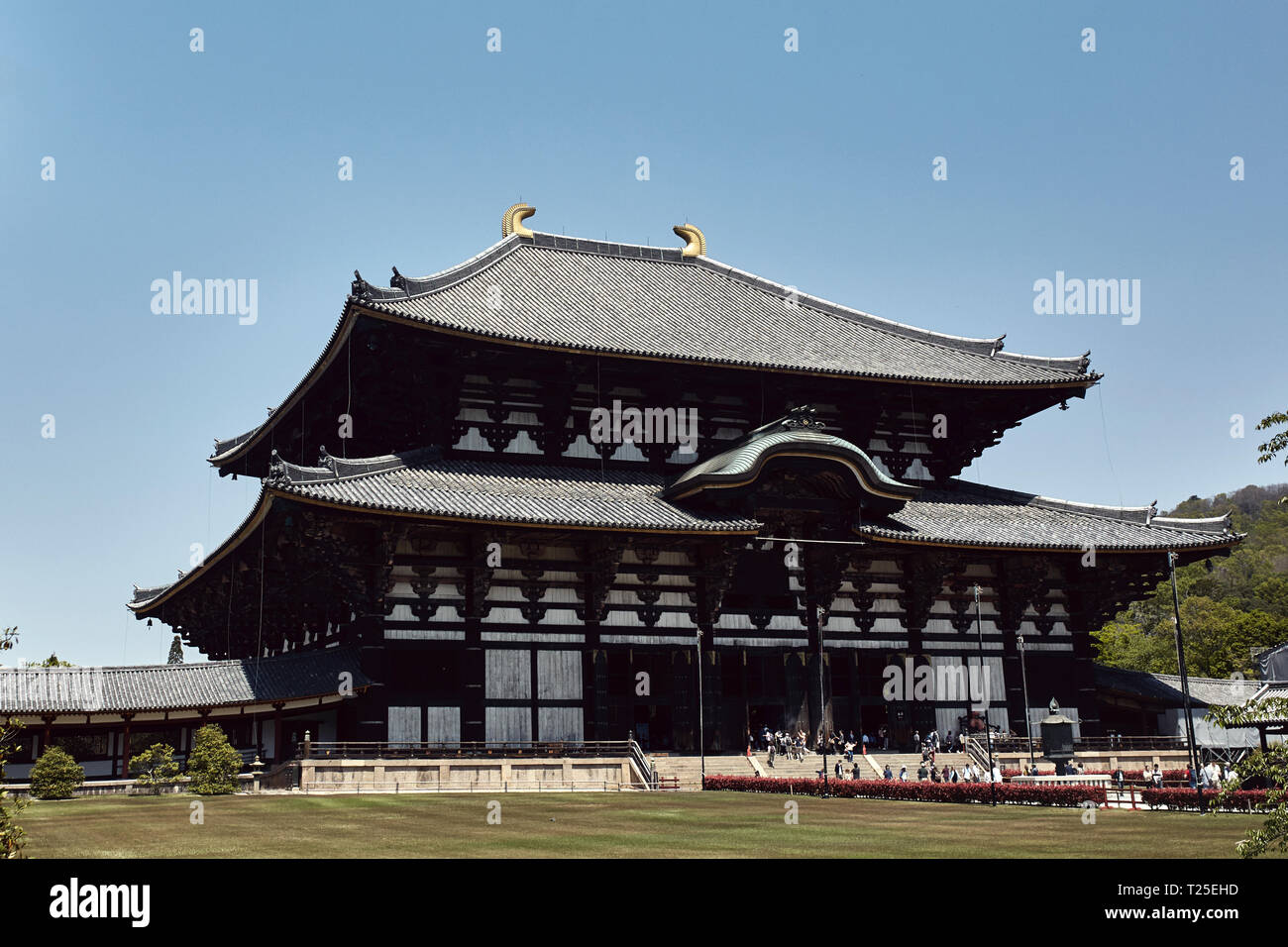Roof architecture todaiji temple nara hi-res stock photography and ...