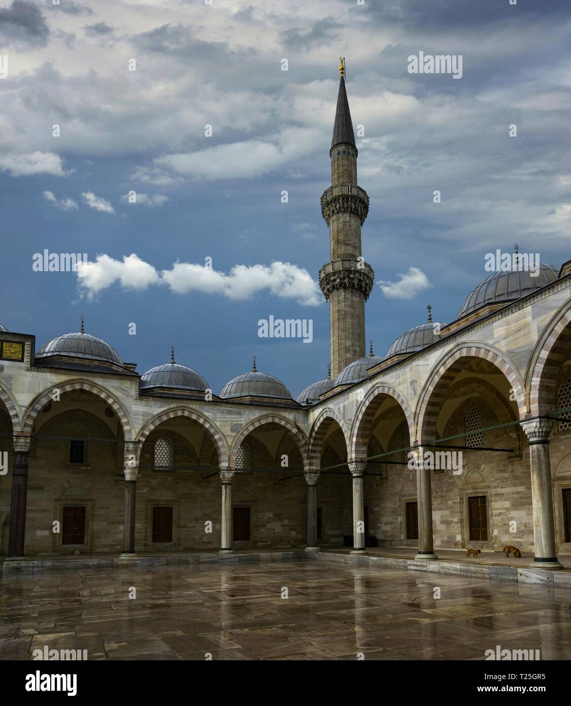 Muslims praying in rain hi-res stock photography and images - Alamy
