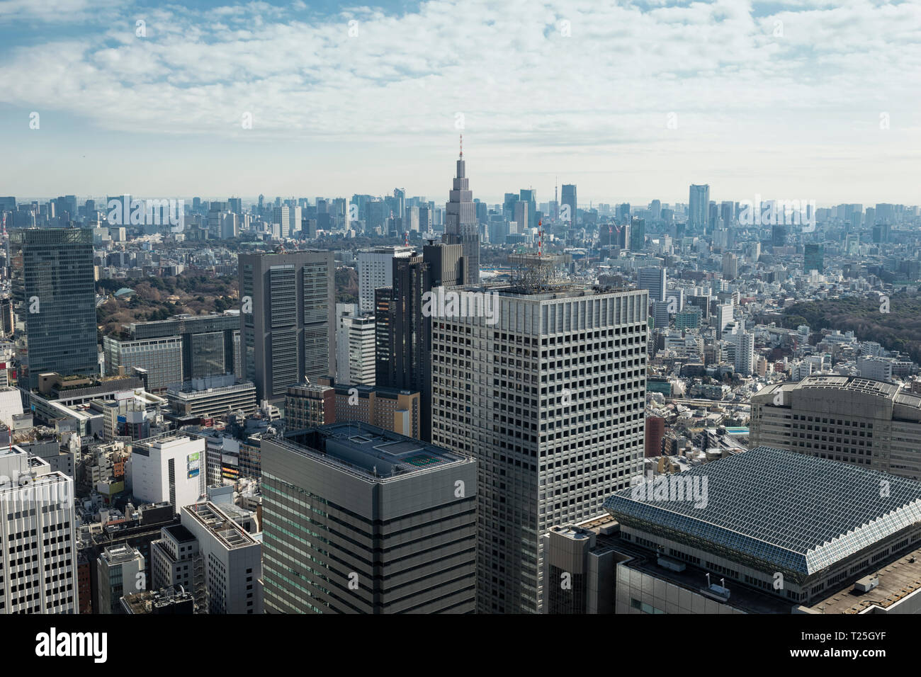 Tokyo Skyline from the Observation Deck of the Tokyo Metropolitan ...