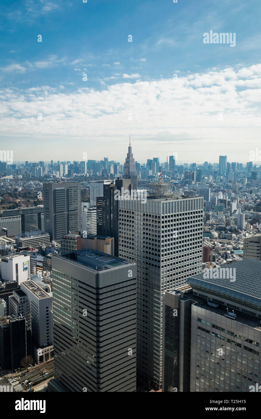 Tokyo Skyline from the Observation Deck of the Tokyo Metropolitan ...