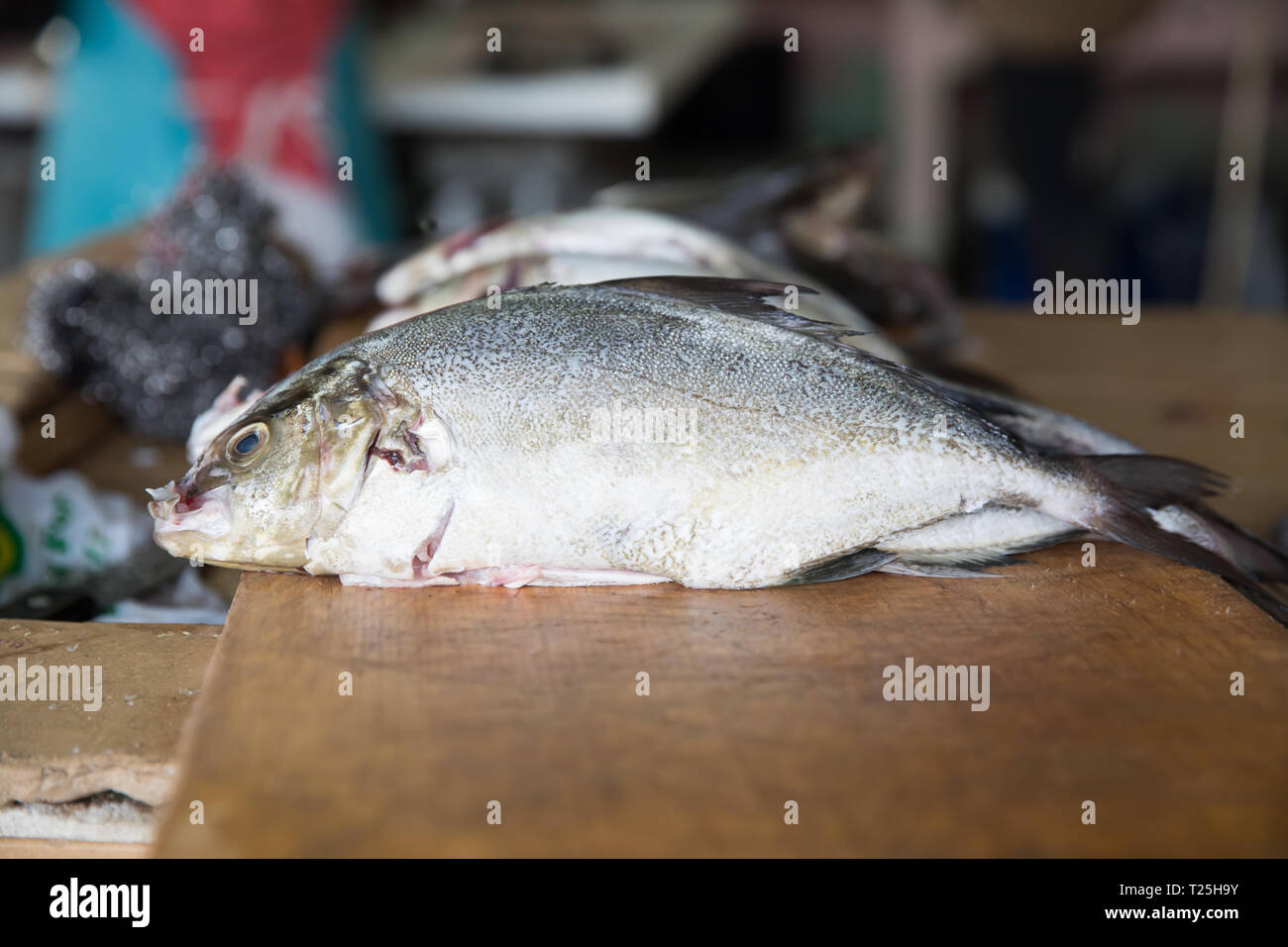 Barbados bridgetown market hi-res stock photography and images - Alamy