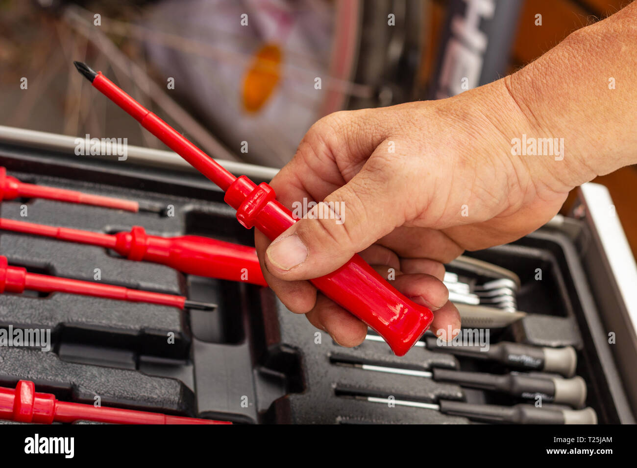 Screwdriver in the hand Stock Photo - Alamy