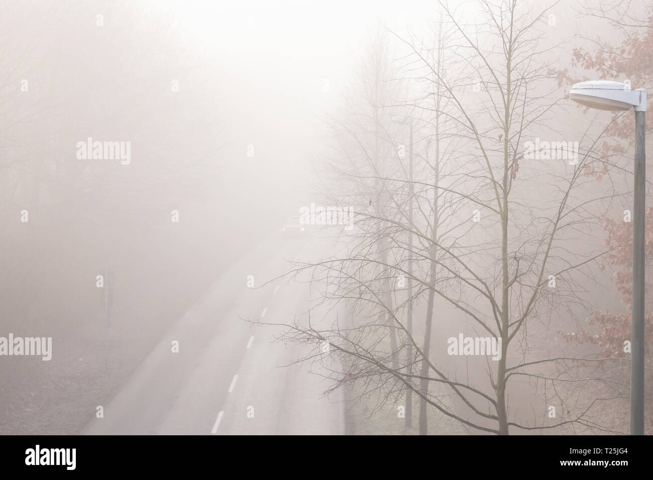 Road with car in the mist Stock Photo - Alamy