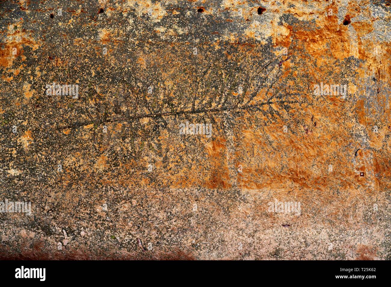Interesting close up structures of cement and sand stone walls in high ...