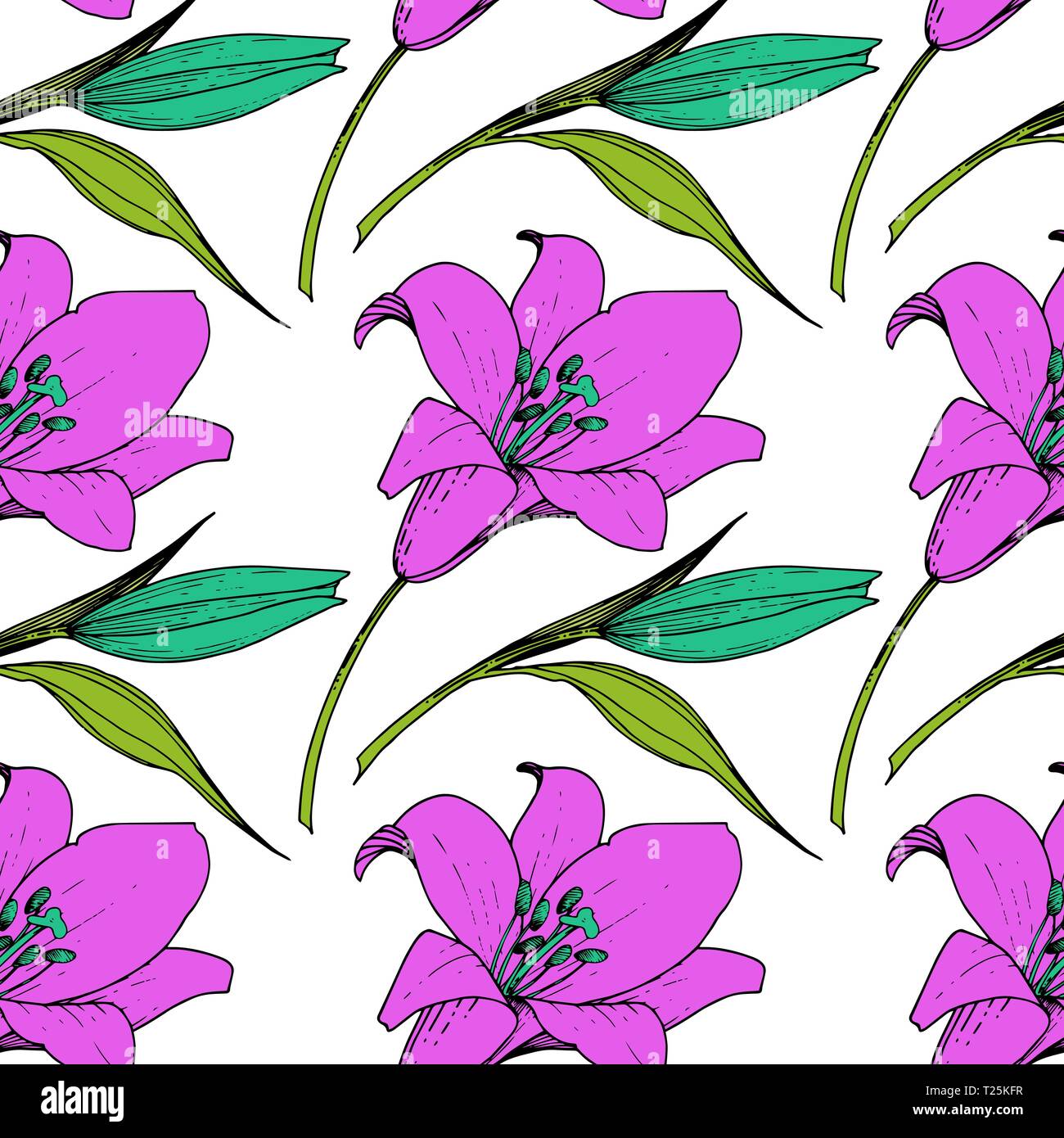 Vector Lily floral botanical flower. Engraved ink art. Seamless ...