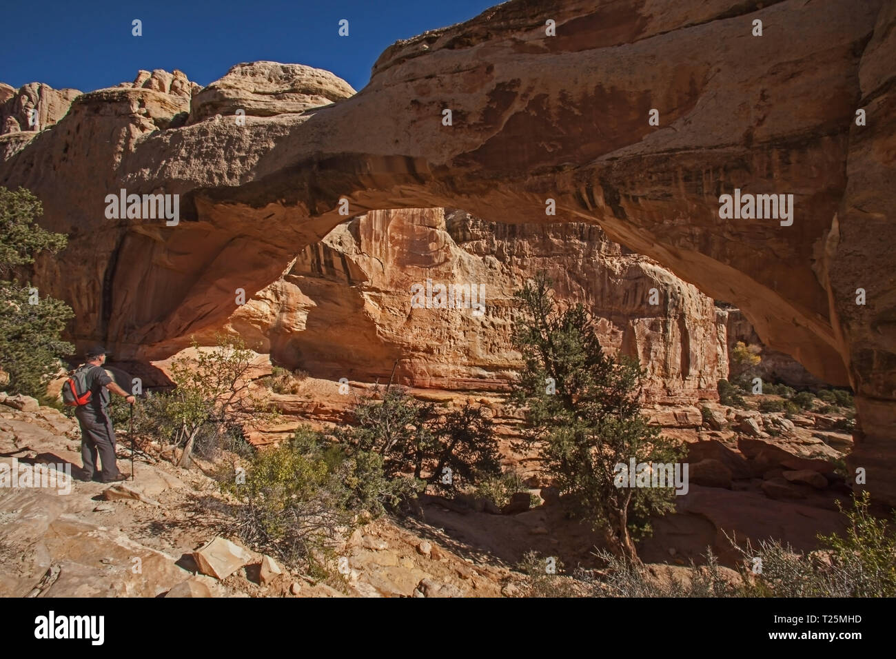 Hickman hi-res stock photography and images - Alamy