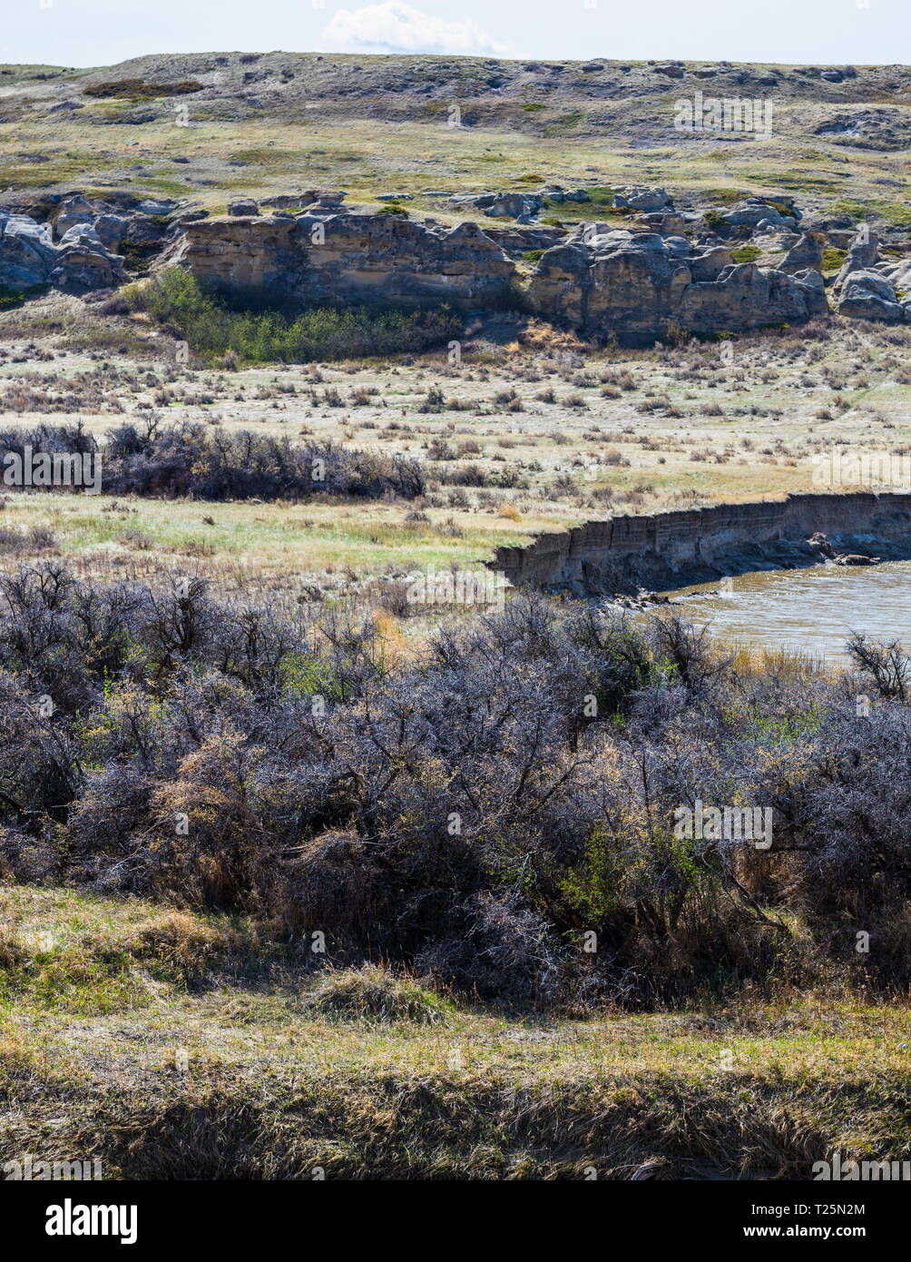Milk river valley hi-res stock photography and images - Alamy