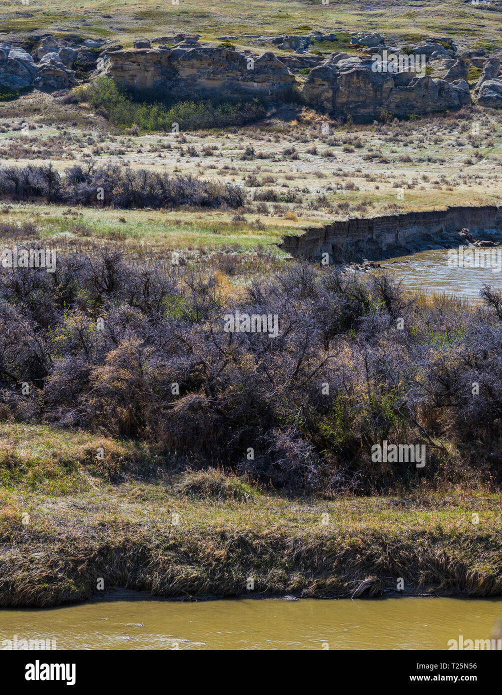 River of milk hi-res stock photography and images - Alamy