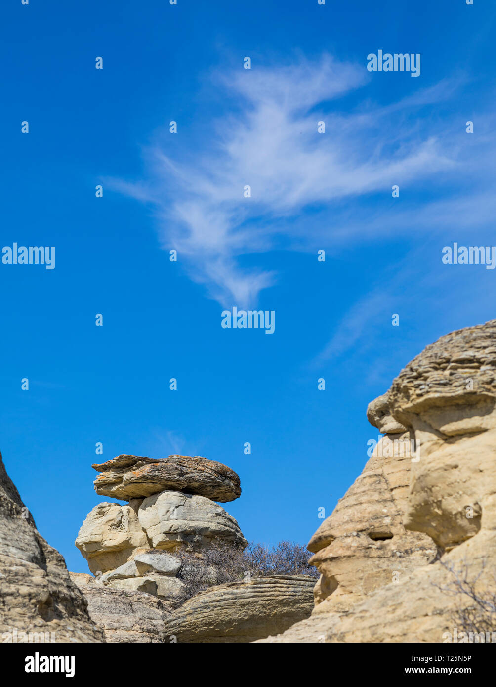 Rock provincial park hi-res stock photography and images - Alamy