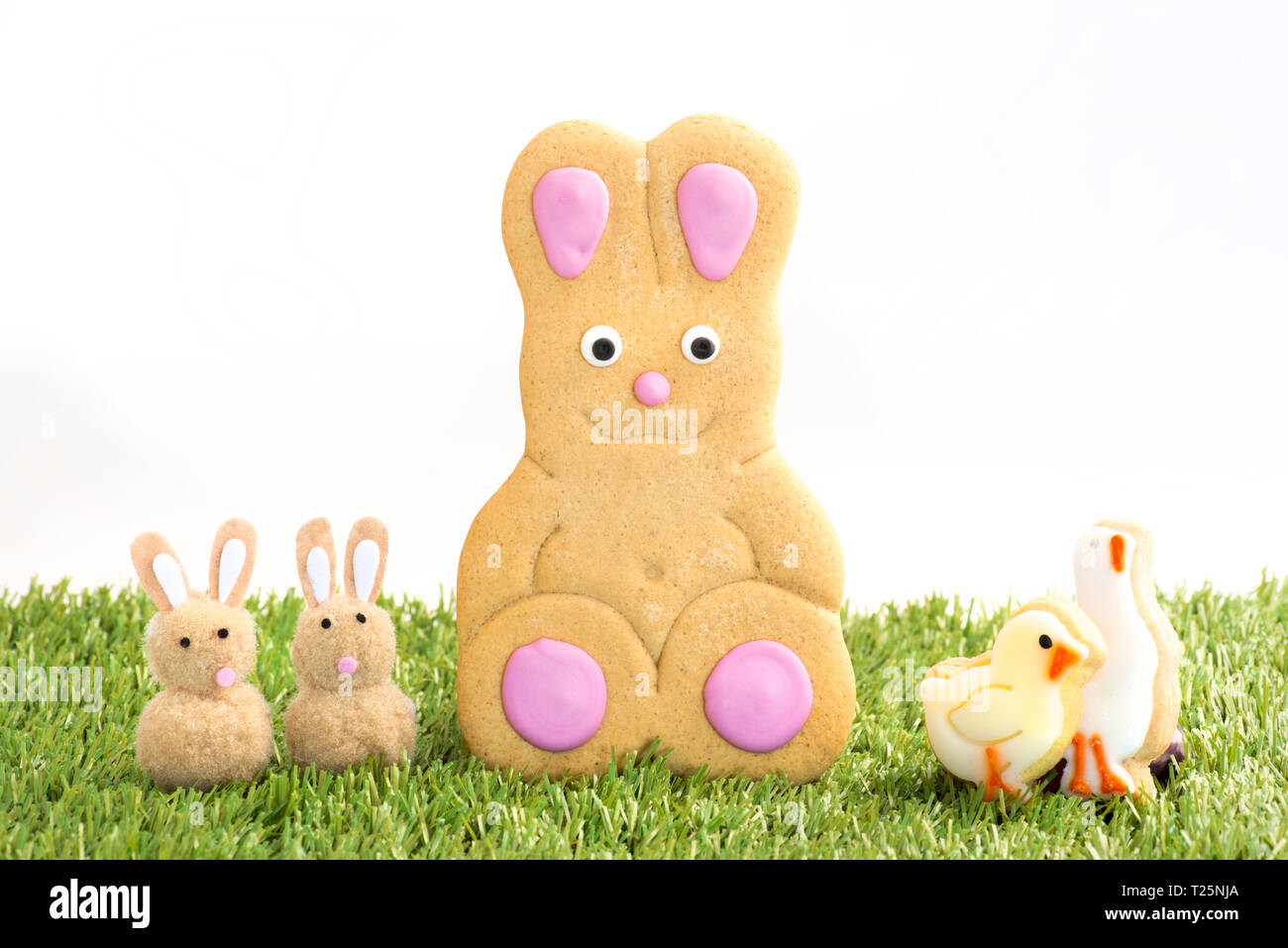 Easter Bunny Biscuit Stock Photo - Alamy