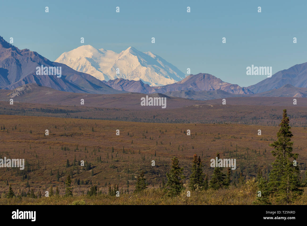 Denali National Park Landscape Stock Photo - Alamy