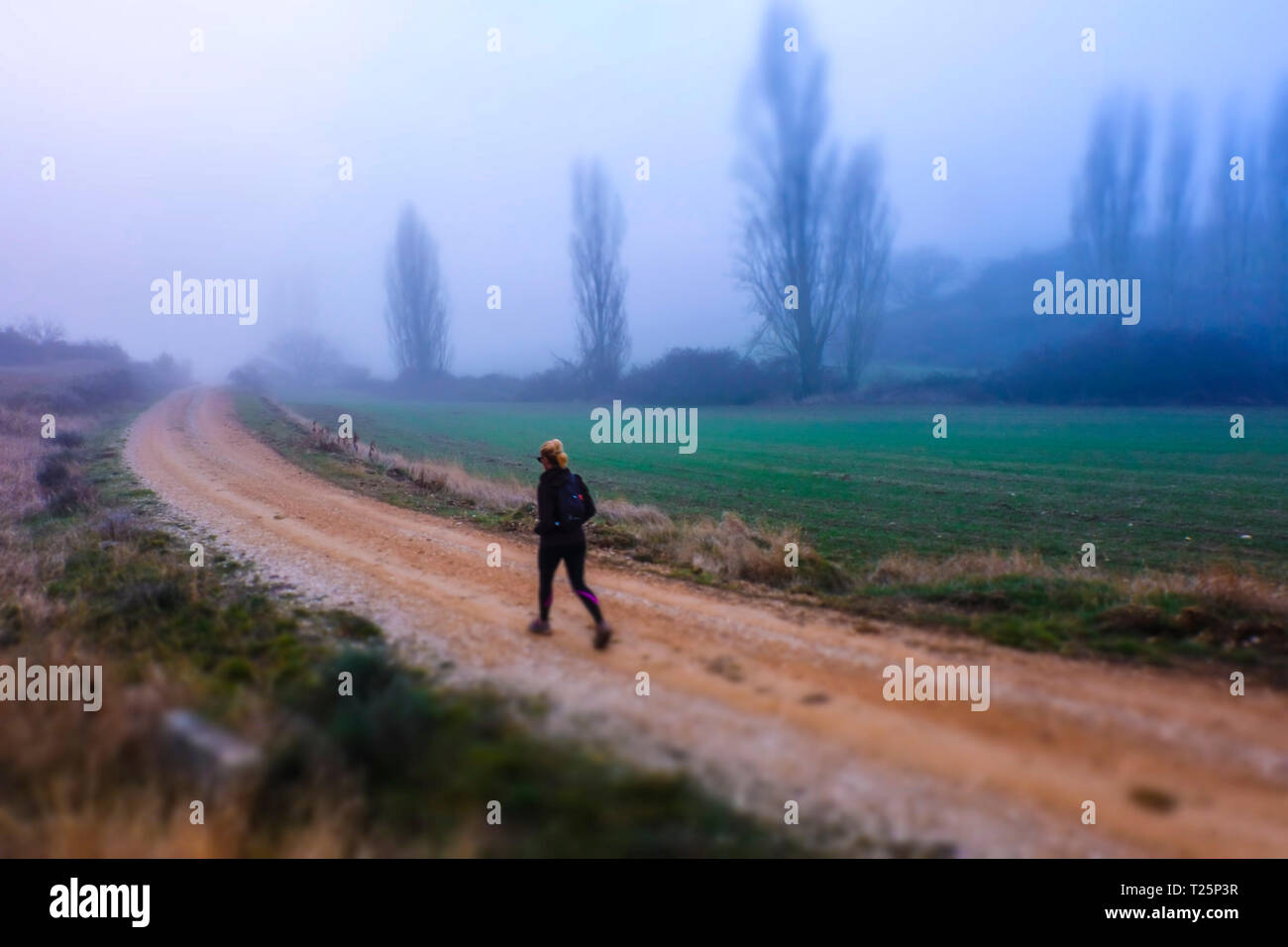 Rural path woman walking hi-res stock photography and images - Alamy
