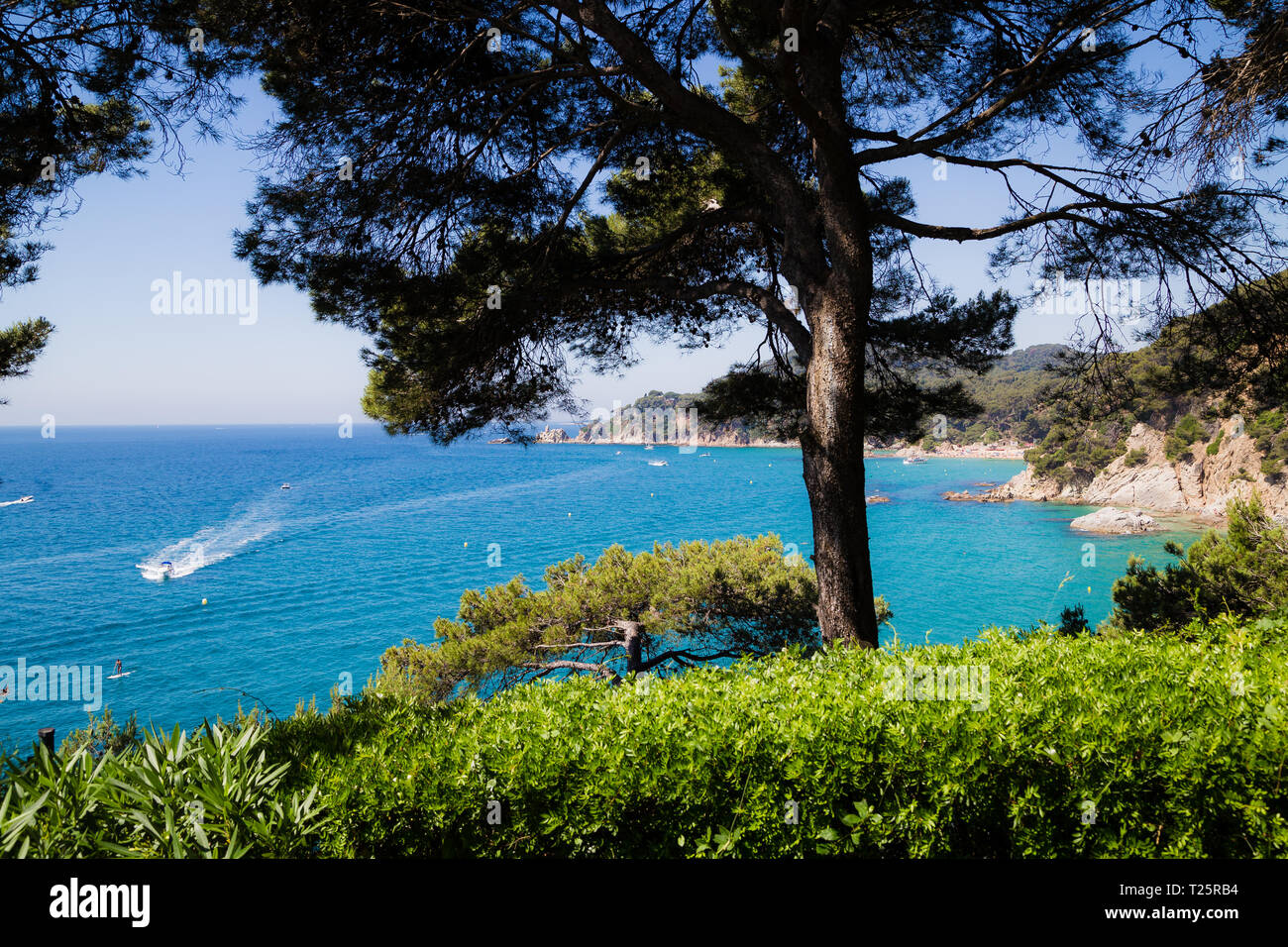 The Jardins of De Santa Clotilde. Botanical Garden Stock Photo - Alamy