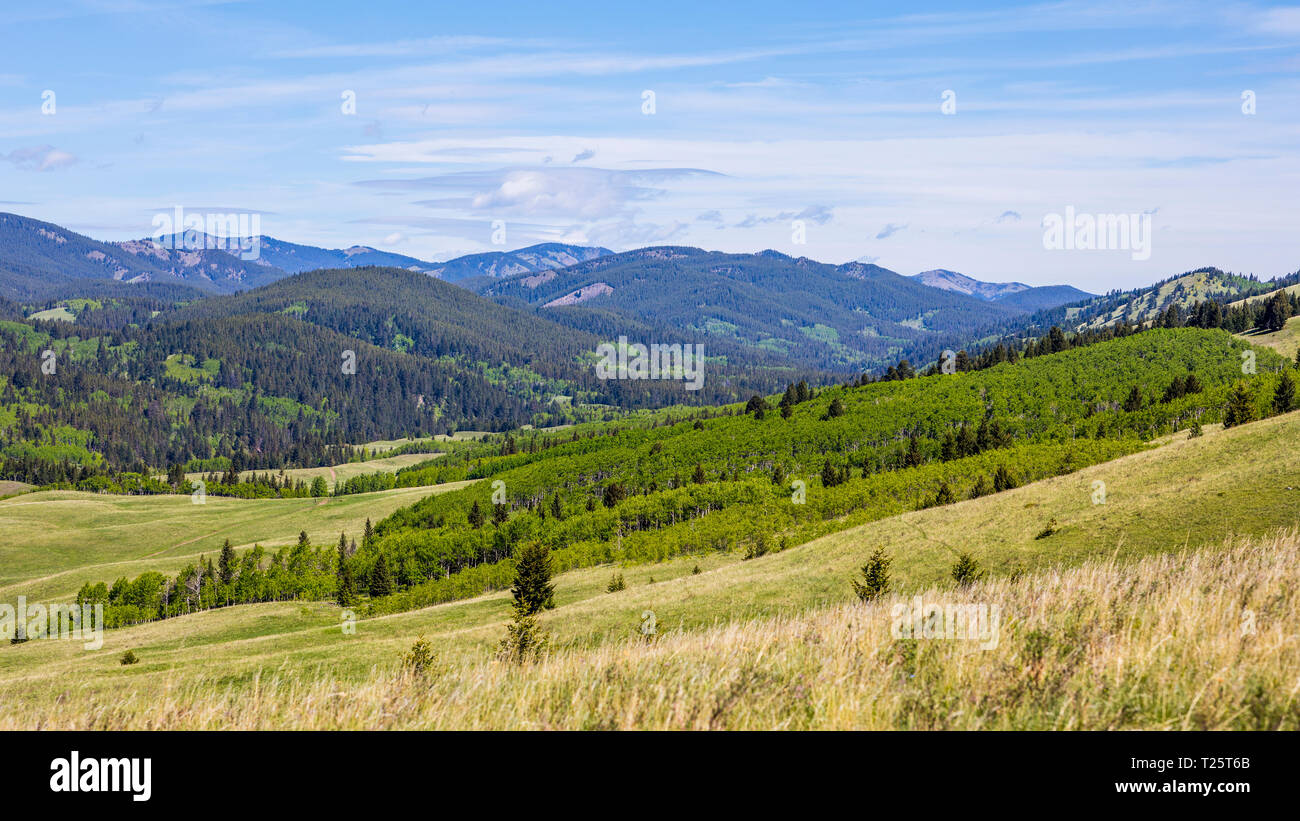 Wildland provincial park hi-res stock photography and images - Alamy