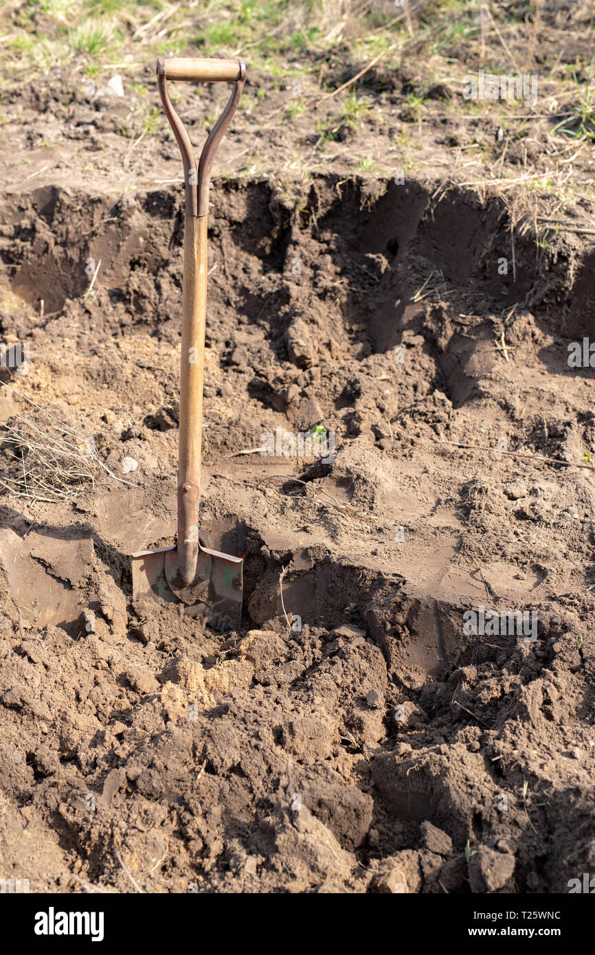 Spade stuck in the ground in a home garden. Garden cleaning works ...