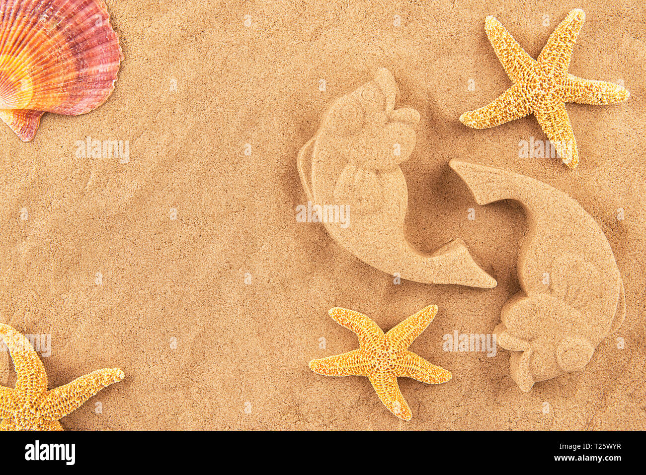 Molded sand fishes and starfish, isolated on white background Stock ...