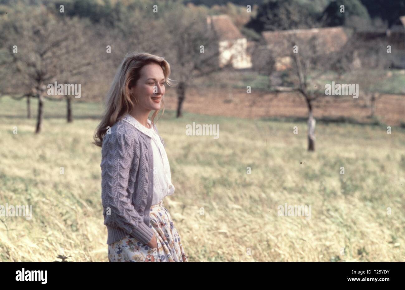 Plenty 1985 meryl streep hi-res stock photography and images - Alamy