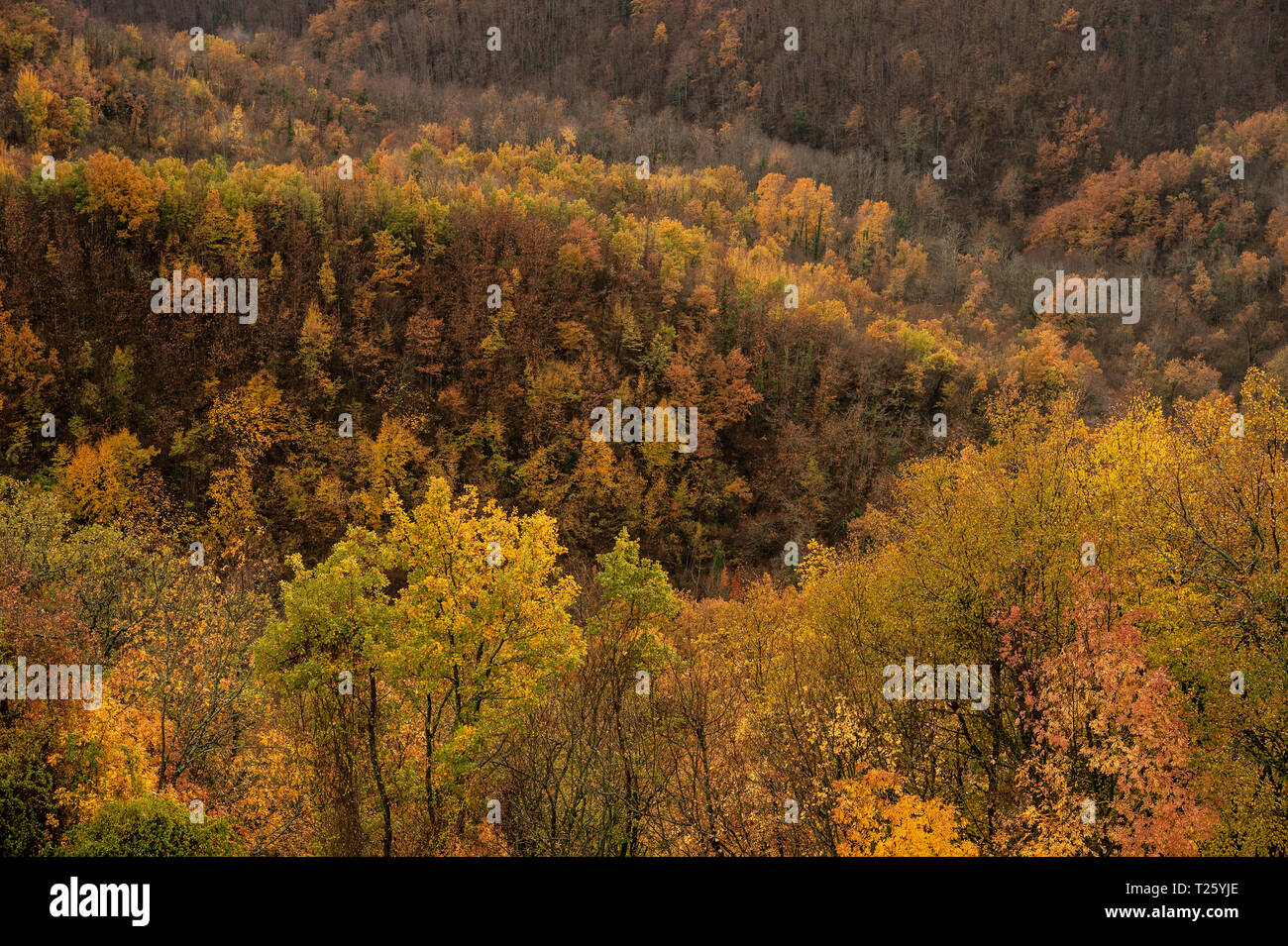 Aniene River Valley, seen from Rocca Canterano, Subiaco, Lazio, Italy ...